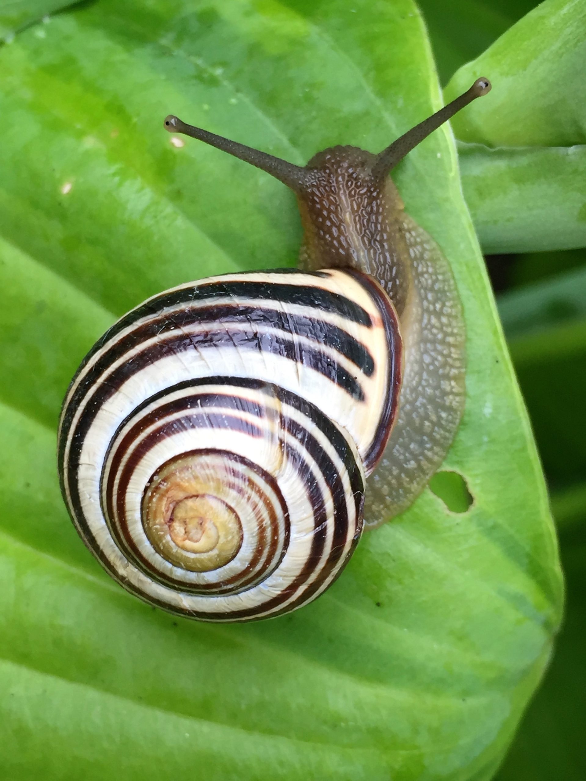 The Learning Curve Seeding The Soul The Learning Curve Seeding The Soul